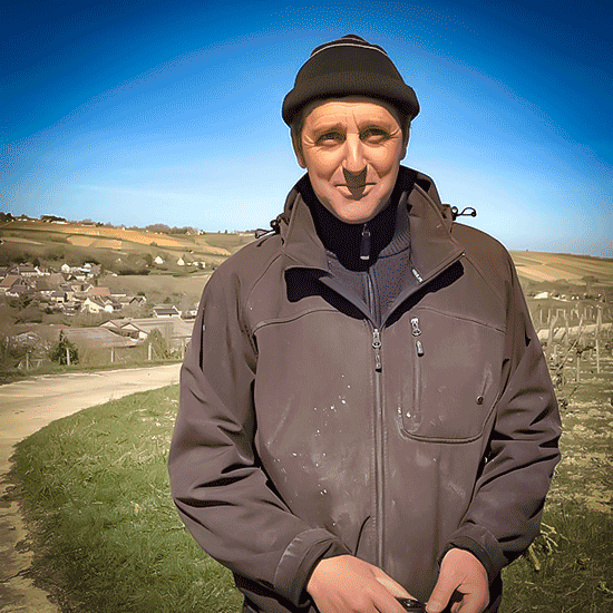 Sancerre Blanc Le Tournebride - Vins du Domaine Vincent Gaudry